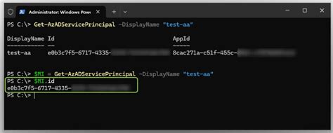 Grant Permissions To System Managed Identity