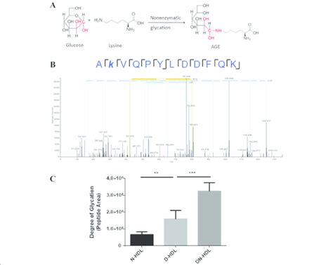 Diabetic And Diabetic Nephropathic High Density Lipoprotein Have A High