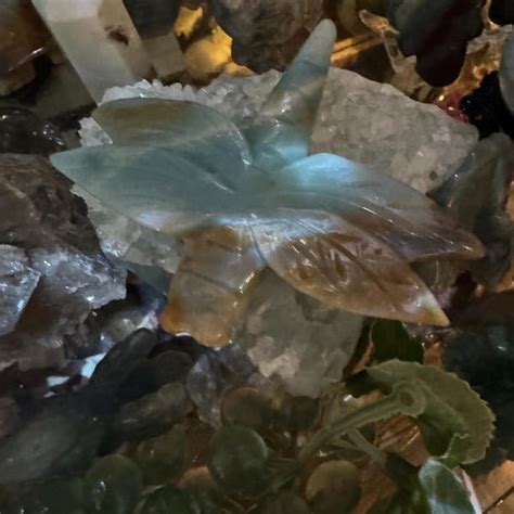 Opalized Ammonite Shell Fossil Halves Pairs Specimen Natural Super High