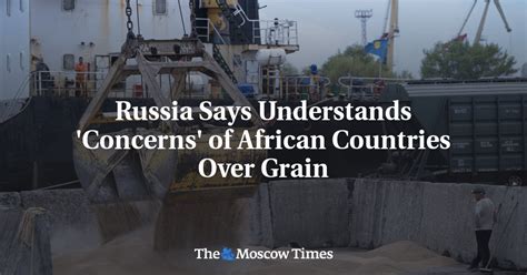 Russia Says Understands Concerns Of African Countries Over Grain