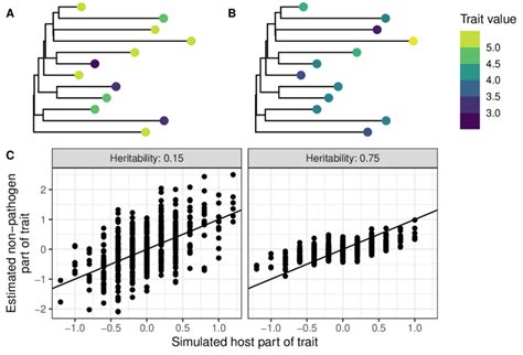 Simulated Data From Two Evolutionary Scenarios Where A Phylogenetic