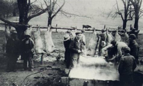 Effie Dalton Heiss The Ancestor Detector