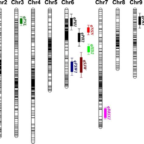 Location Of 12 Qtls For Seven Traits On Chromosomes The Boxes Indicate Download Scientific
