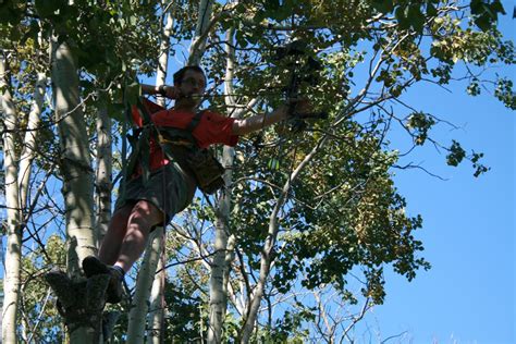 Orion Mind Tree Saddle A Better Tree Stand