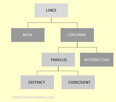 Coplanar Skew Parallel Or Intersecting Lines In Space Andrea Minini