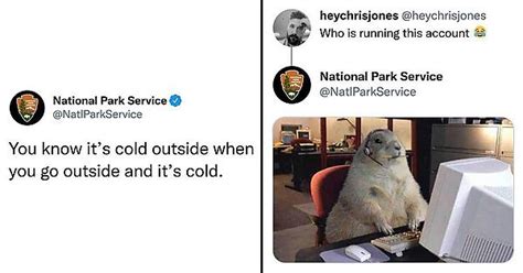 Sensible Chuckle Album On Imgur