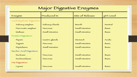 Enzymes And Coenzymes Catalyst And Enzymatic Browningpdf