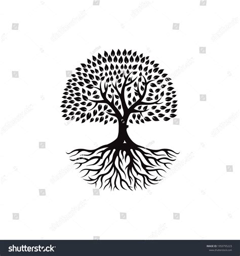 Creative Vector Graphic Silhouette Tree Root Stock Vector Royalty Free Shutterstock