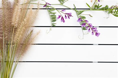 가을 구성 가을 꽃과 단풍으로 만든 꽃 프레임입니다 플랫 레이 맨 위 보기 공간을 복사합니다 가을에 대한 스톡 사진 및 기타 이미지 Istock