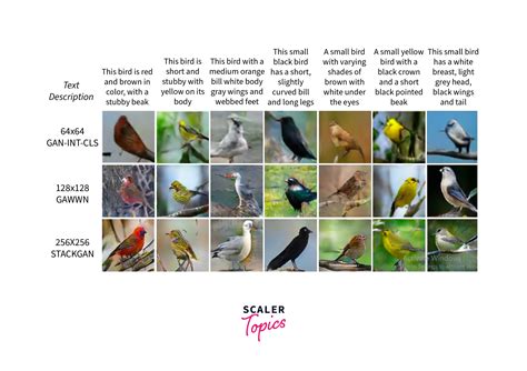 stackgan scaler topics
