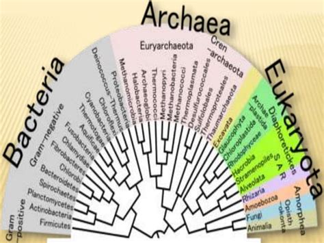 Distance Based Method Pptx