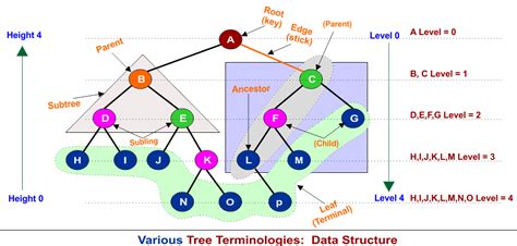 Basic Tree Terminologies In Data Structure Cs Taleem