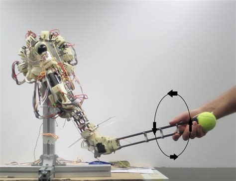 Proprioceptive Pose Prediction In A Human Robot Interaction Experiment Download Scientific