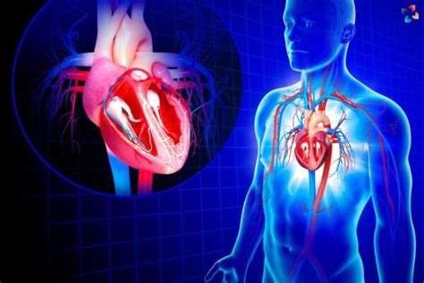 Low Ejection Fraction Causes Symptoms And Treatment The