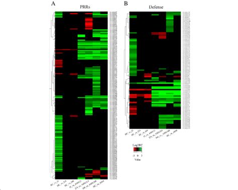 Panel A Heatmap Of Differentially Expressed Genes DEGs Encoding