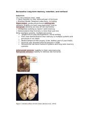 Declarative Long Term Memory Retention And Retrieval Docx Declarative Long Term Memory