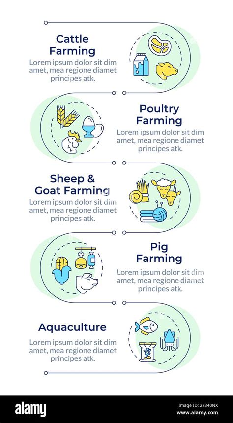 Agriculture Types Infographic Vertical Sequence Stock Vector Image