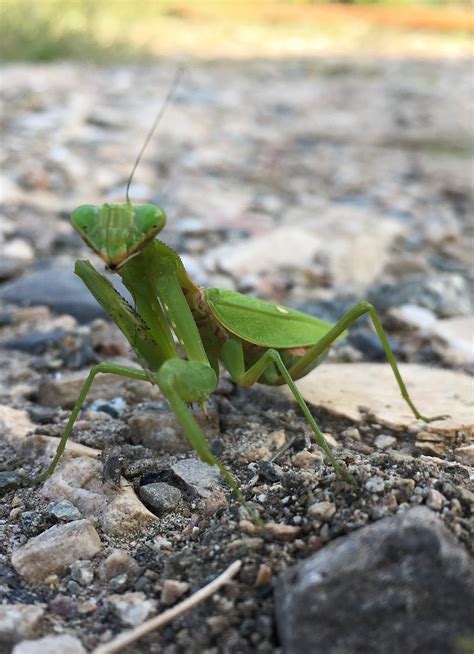 Where Scientific Passion Begins Do You Know How I Became Passionate