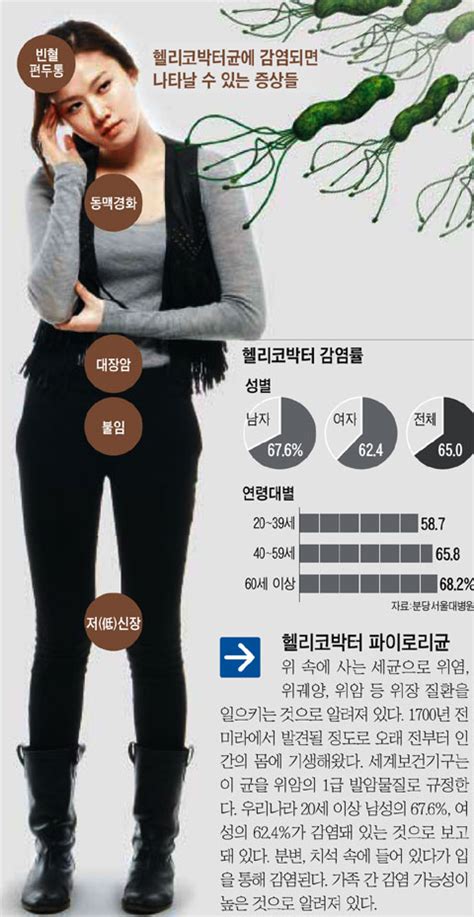 헬리코박터균이 빈혈·동맥경화의 원인 당신의 건강가이드 헬스조선