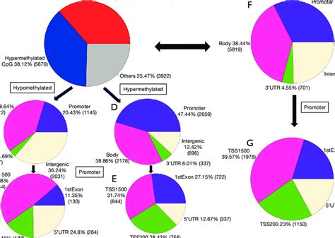 Graphic Illustration Of Functional Distribution And Differentially Download Scientific Diagram