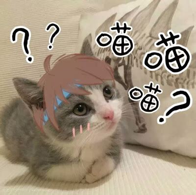 搞笑 聊天表情 233 高清图片堆糖美图壁纸兴趣社区