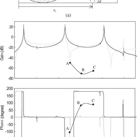 A Schematic Of A Symmetric Distributed Sensor B Transfer Function Download Scientific