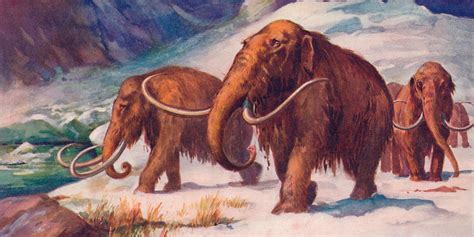 Ice Age Definition And Timeline