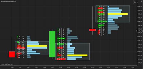 Ninjatrader Footprint Orderflow Indicator