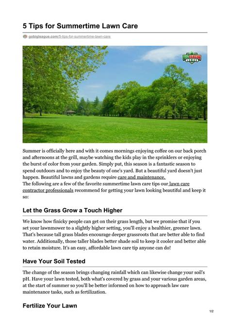 5 Tips For Summertime Lawn Care By Big League Lawns Issuu
