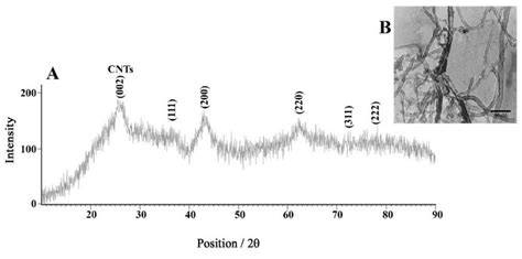 A X Ray Diffraction Pattern Of Nio Swcnts Nanocomposite B Tem Image