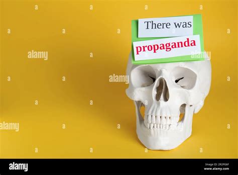 Information Warfare Concept Human Skull And Paper Cards With Phrase