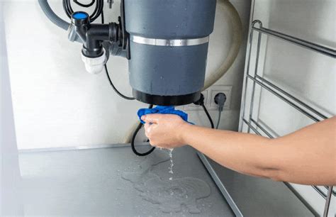 Garbage Disposal Leaking Quick Fixes And Expert Solutions