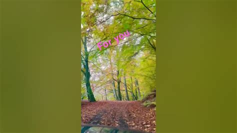 دختران افغان 👉 Youtube