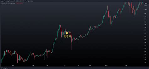 비트코인 반감기 전후 과거 사이클 움직임 지금은 코인니스