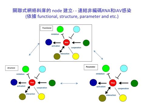 ppt the analysis of regulatory networking with non coding rna