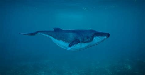 Dockerの基礎知識と開発環境用dockerfileの書き方 Codechord