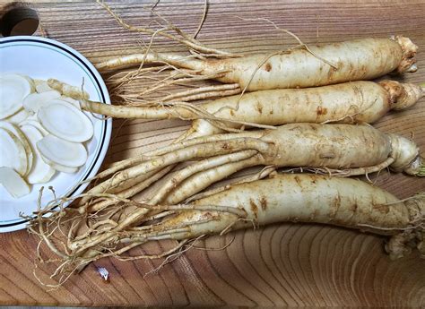 인삼 꿀절임 쪄서 만들어 먹기 편한 인삼 꿀절임