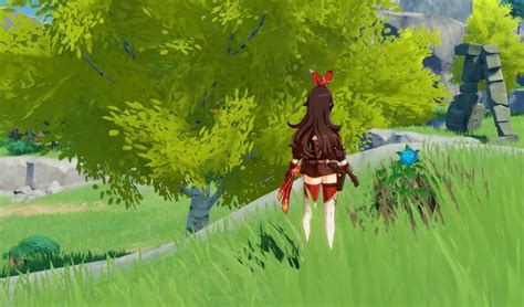 Где найти сосновые шишки в Genshin Impact