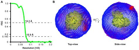 Resolution Estimation And Angular Particle Distribution A The Download Scientific Diagram