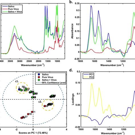 A Average Raw Spectra And B Pre Processed Spectra For Saliva N 2