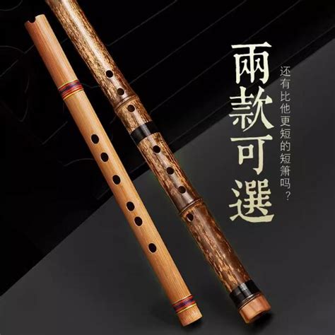 現貨 竹蕭 竹笛 伶吟初學入門簫苦竹短簫紫竹短蕭零基礎樂器G六孔專業演奏洞簫 露天市集 全台最大的網路購物市集