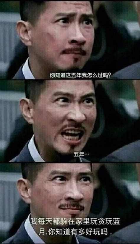 渣渣辉图片渣渣辉霸气图片渣渣辉图片带文字图片第10页大山谷图库