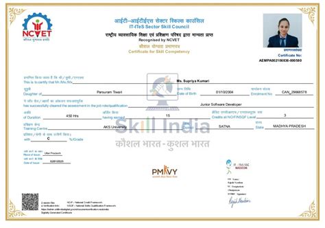 Skillindia Softwaredevelopment Techskills Careergrowth Achievement