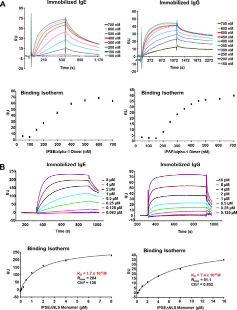 Surface Plasmon Resonance Assays Binding Of Ipse 1 Dimer A And