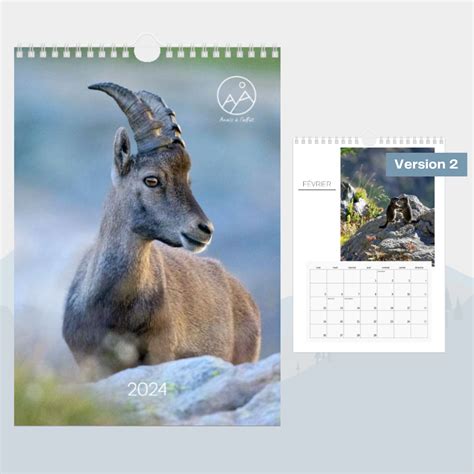 Calendrier 2024 Version 2 Cases Anaïs à Laffût