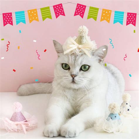 Badu Bg Украшение за глава за домашни любимци дантелена гарнитура без