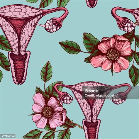 여성의 자 궁 및 야생 장미 원활한 패턴입니다 손으로 그린 벡터 특이 한 텍스처 자궁에 대한 스톡 벡터 아트 및 기타 이미지