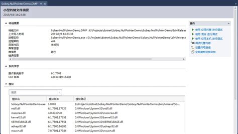 【终极解决方案】为应用程序池“xxx”提供服务的进程在与 windows process activation service 通信时出现严重
