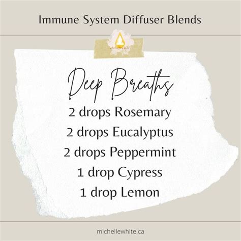 Immune Support Diffuser Blends Essential Oil Blends Recipes Diffuser