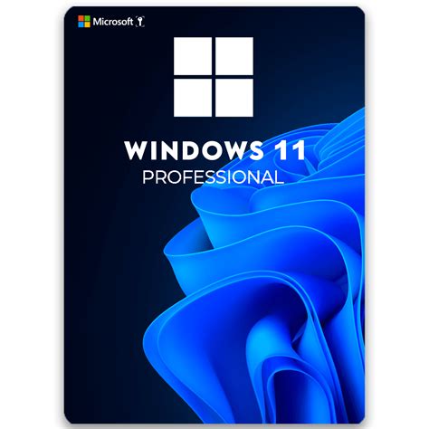 Windows 11 Professional Oem Softwarepcpty